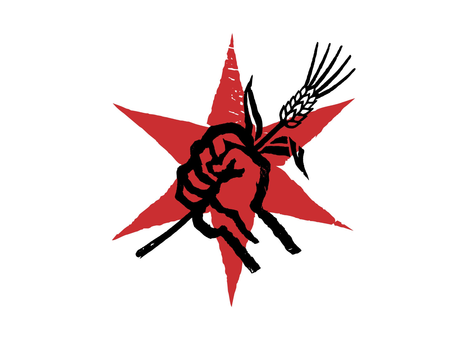 Social Media & Brand Support | Revolution Brewing